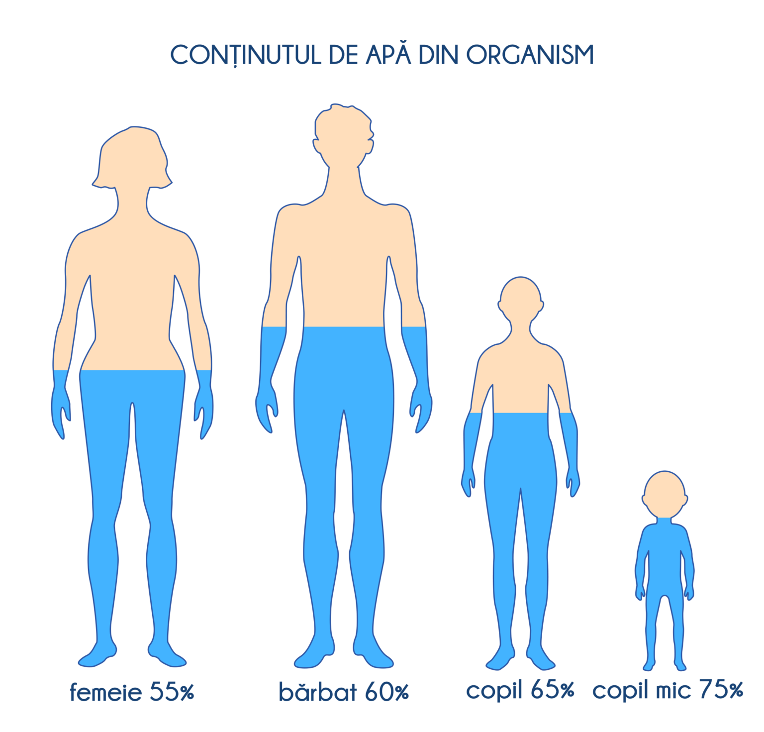 Organismul uman = 70% apă – LECTIA DESPRE APA