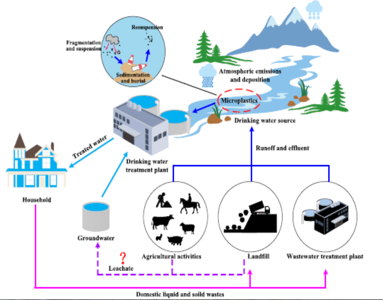 Poluarea apei cu microplastice – LECTIA DESPRE APA